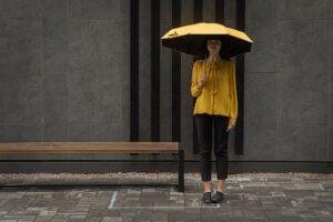 Who Invented the Umbrella? The Fascinating History of Umbrella