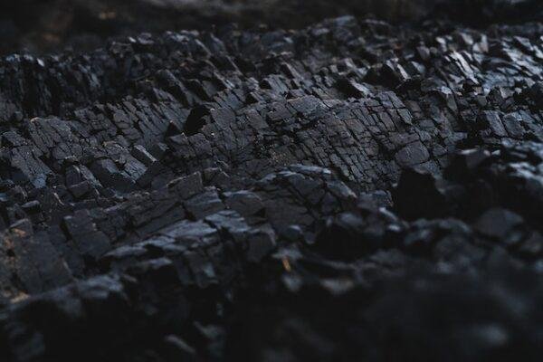 Who Discovered Carbon? The Fascinating Facts About Carbon