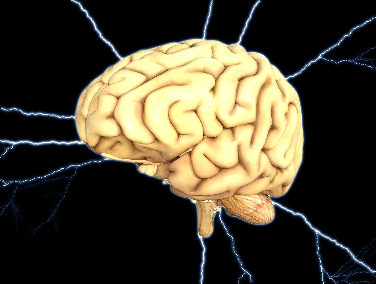Decoding the Complexities - Understanding Brain Chemistry