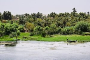 The Ancient West African: Unraveling Salt Trade of Ancient West Africa