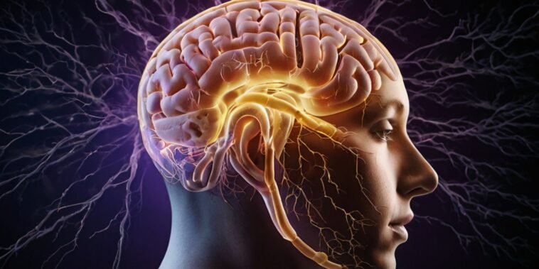 Unraveling Aversive Conditioning: A Guide to Behavior Modification