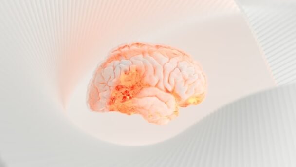 When Are Brains Fully Developed? Brain Maturation According To Science