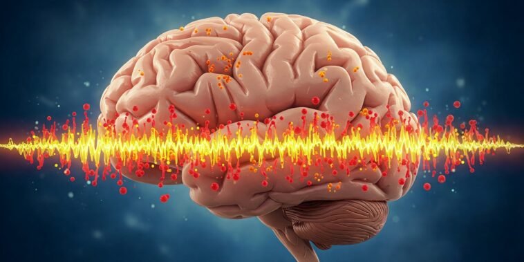 Neocortex vs. Cerebral Cortex: The Differences and Functions